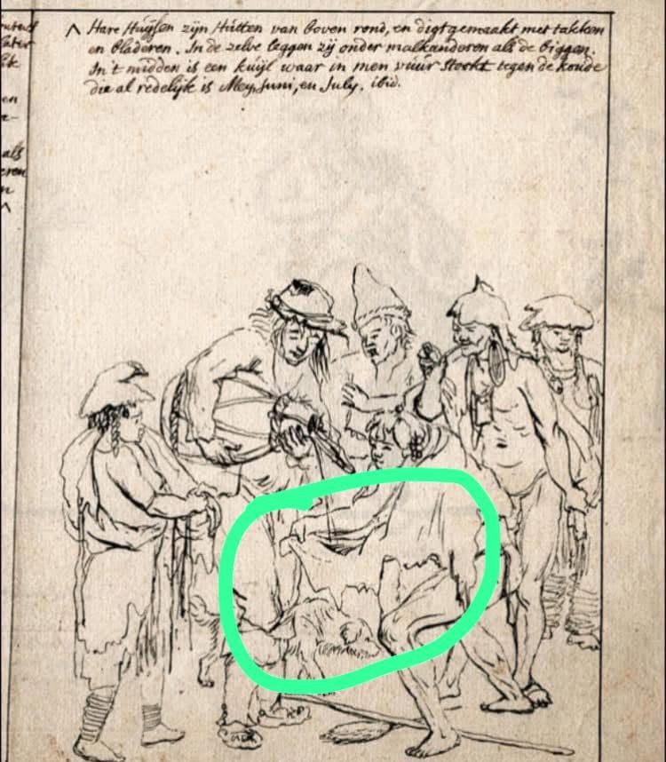 die prent van 1700's in Kaap waar witman wyn vir os Khoi mense gooi in ...